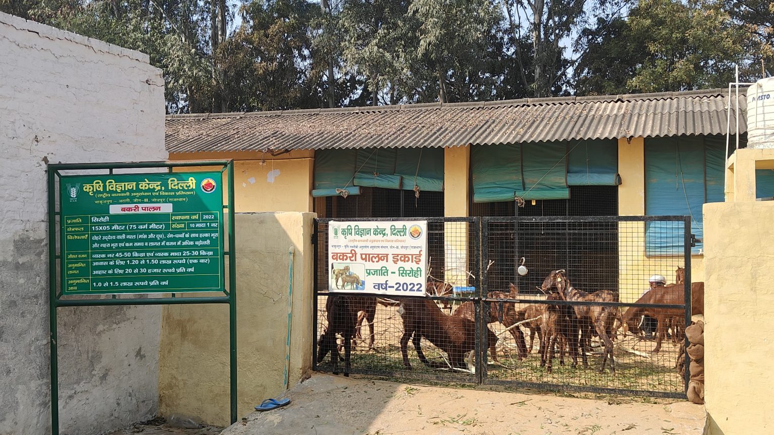 KVK Produce – Krishi Vigyan Kendra